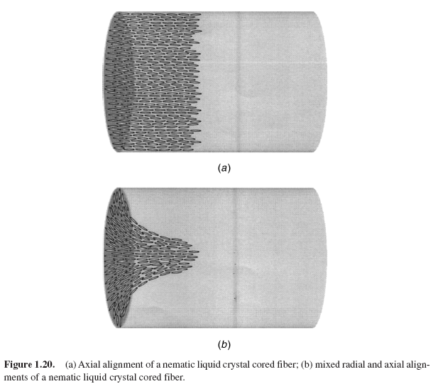 Chapter 1.5.2 - Liquid Crystal Optical Slab Waveguide, Fiber, and ...