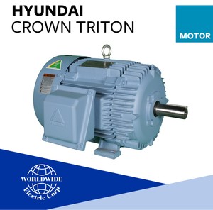HYUNDAI Crown Triton Severe Duty Motor from WorldWide Electric Corporation