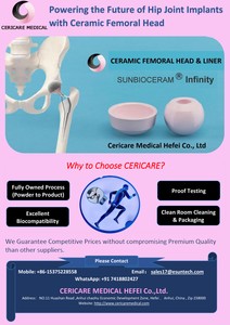 Ceramic Femoral Head & Liner for Hip Prosthesis from Suntech Applied ...