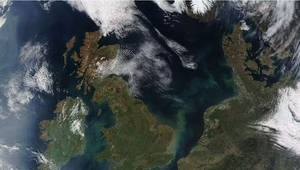 Dupont Releases New Wide Spray Foam Sealant from Adhesives.org