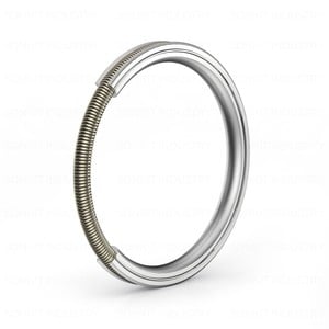 Vacuum Seal: Blade Metal C-Ring - Helicoflex Delta from Sonkit ...