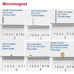 Precision Micro Magnet Coating Options from Hangzhou X-mag Inc.