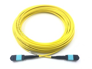 8F G657A2 MPO Female Patchcord, LSZH, Type B from XBC COMMUNICATIONS CO ...