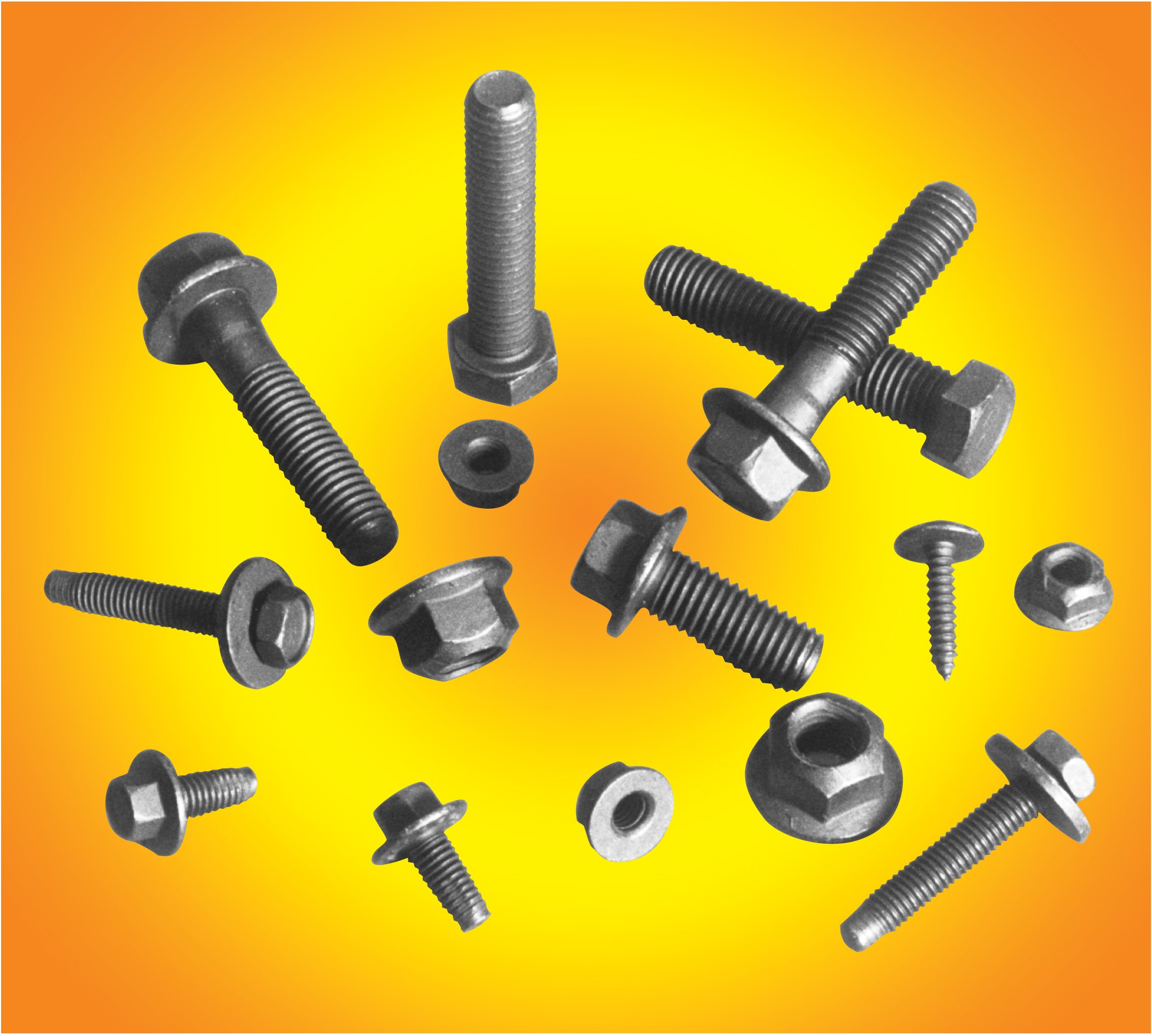 Whitford Corporation - Company Profile | Supplier Information